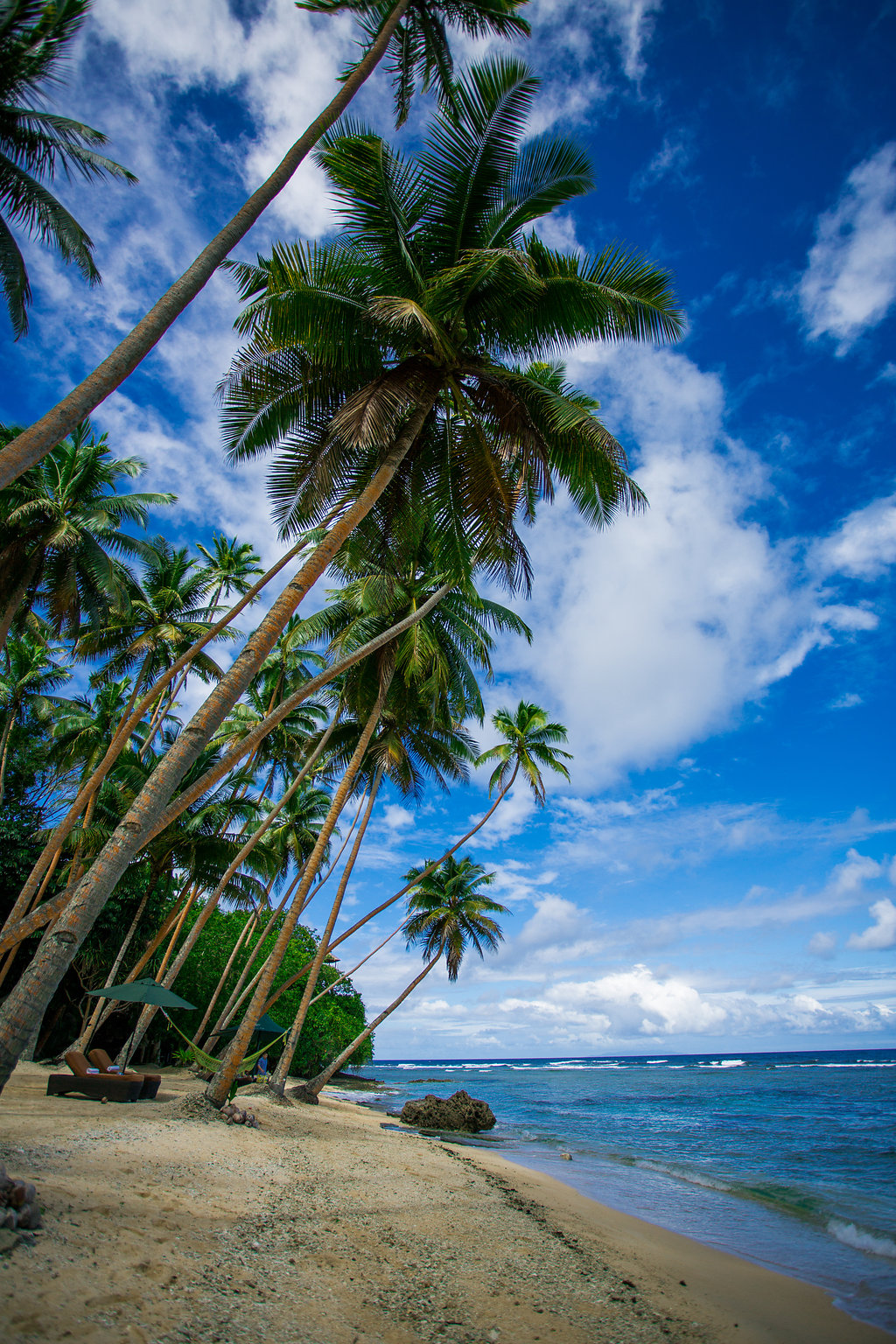 Downloads - Namale Resort & Spa